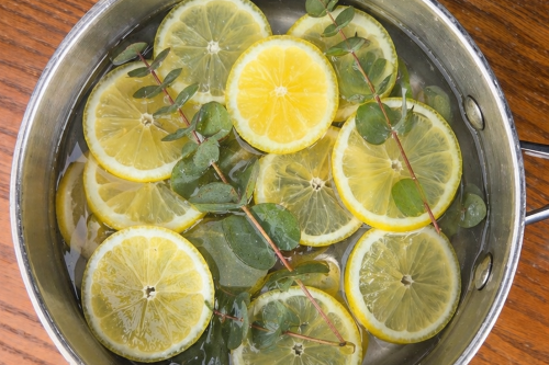 Lemon Eucalyptus Simmer Pot: A Fresh and Clean Simmer Pot Recipe for Home